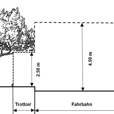 Bäume, Hecken und Sträucher zurückschneiden — Appenzell Innerrhoden
